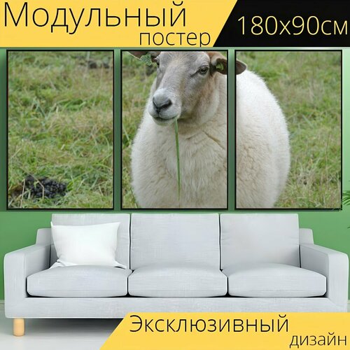 Модульный постер "Млекопитающие, ферма, луга" 180 x 90 см. для интерьера