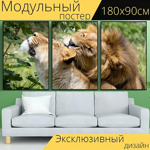 Модульный постер "Лев, зоопарк, животное" 180 x 90 см. для интерьера