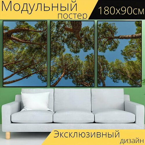 Модульный постер "Деревья, небо, вверх" 180 x 90 см. для интерьера