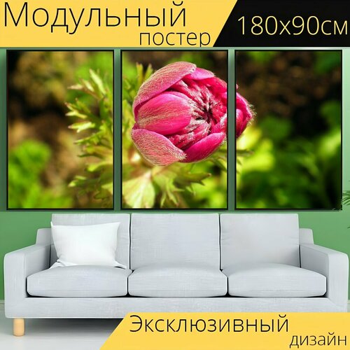 Модульный постер "Анемон, цветок, розовый" 180 x 90 см. для интерьера