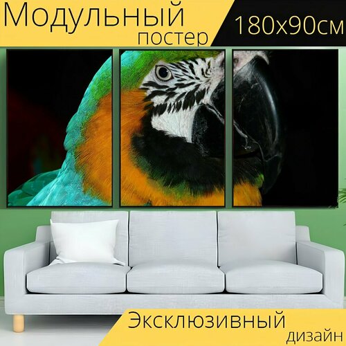 Модульный постер "Птица, животное, попугай" 180 x 90 см. для интерьера