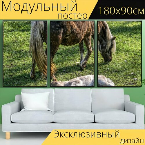 Модульный постер "Кобыла, жеребенок, лошади" 180 x 90 см. для интерьера