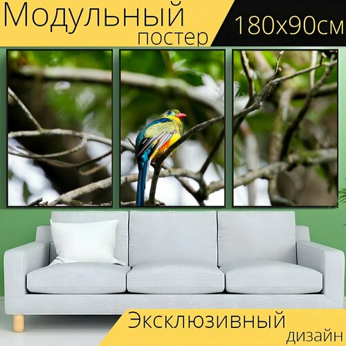 Модульный постер "Дикая птица, красочные, тропический лес" 180 x 90 см. для интерьера