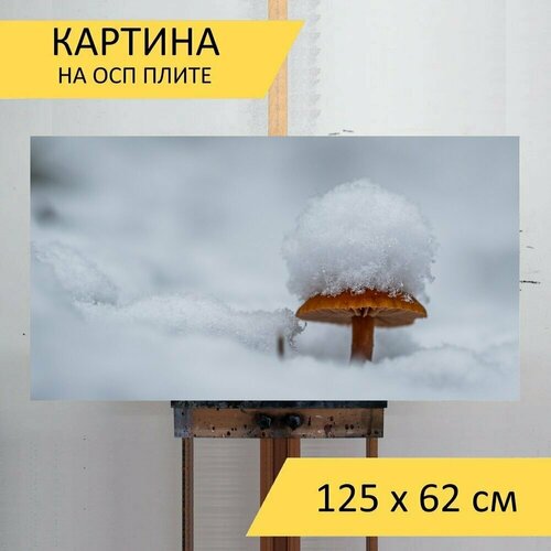 Картина на ОСП 125х62 см. "Снег, снежная шапка, гриб" горизонтальная, для интерьера, с креплениями