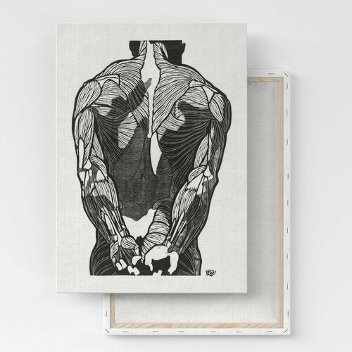 Картина на холсте, репродукция / Рейер Столк - Back muscles / Размер 40 x 53 см