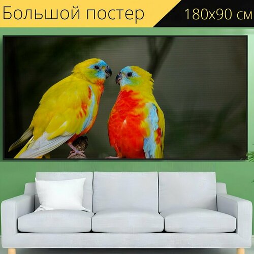 Большой постер "Красивый попугайчик, птица, влюблена" 180 x 90 см. для интерьера