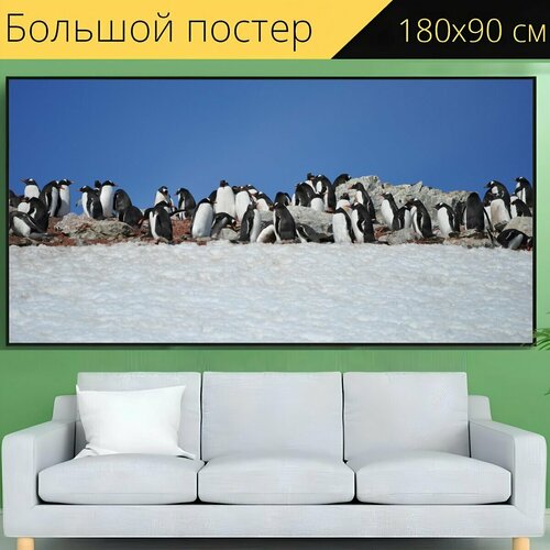 Большой постер "Пингвины, антарктида, синее небо" 180 x 90 см. для интерьера