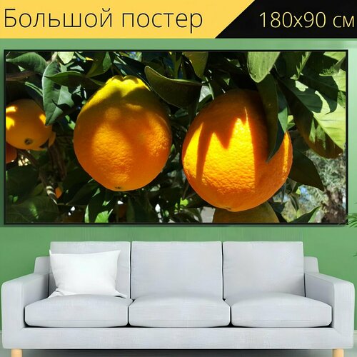 Большой постер "Апельсины, валенсия, цитрусовые" 180 x 90 см. для интерьера