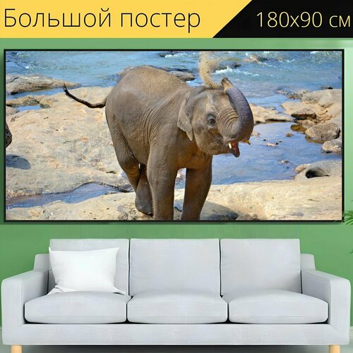 Большой постер "Слоненок, слоны, ванна" 180 x 90 см. для интерьера