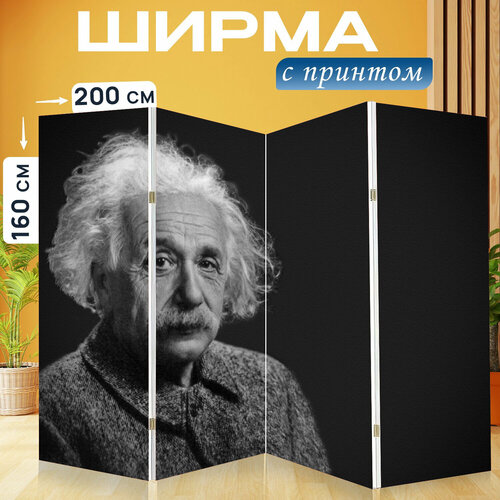 Ширма перегородка с принтом "Альберт эйнштейн, портрет, теоретик врач" на холсте - 200x160 см. для зонирования, раскладная