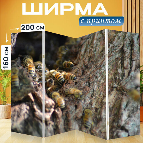 Ширма перегородка с принтом "Дикие пчелы, природа, насекомое" на холсте - 200x160 см. для зонирования, раскладная