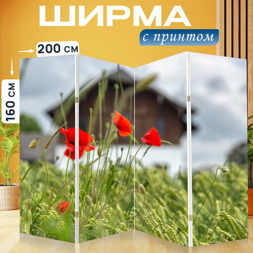 Ширма перегородка с принтом "Пшеничное поле, травы, маки" на холсте - 200x160 см. для зонирования, раскладная