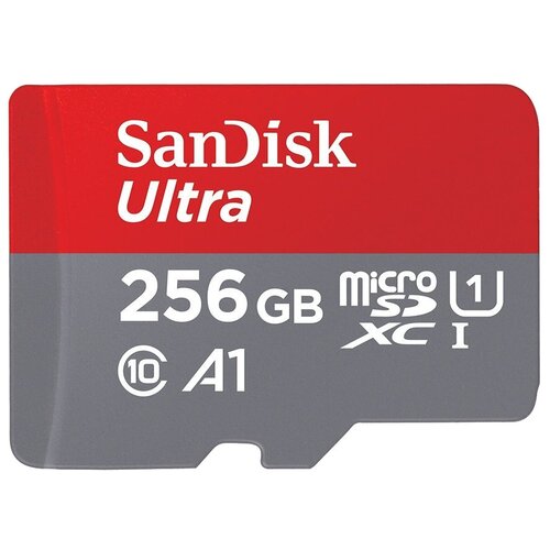 Карта памяти SanDisk microSDXC 256 ГБ Class 10, A1, UHS Class 1, R 100 МБ/с, адаптер на SD, 1 шт.