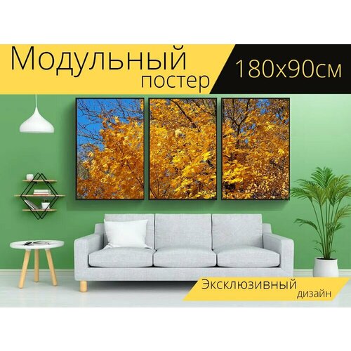 Модульный постер "Деревья, осень, осеннее золото" 180 x 90 см. для интерьера