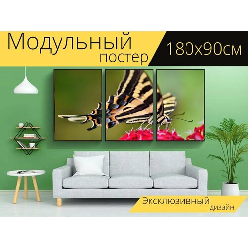 Модульный постер "Ласточкин хвост, бабочка, тропические бабочки" 180 x 90 см. для интерьера