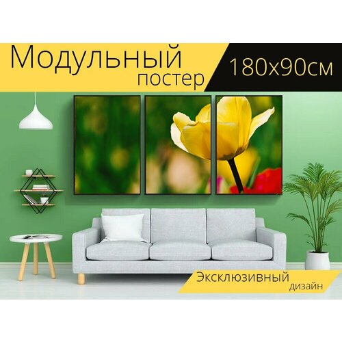 Модульный постер "Тюльпан, желтый, цвести" 180 x 90 см. для интерьера