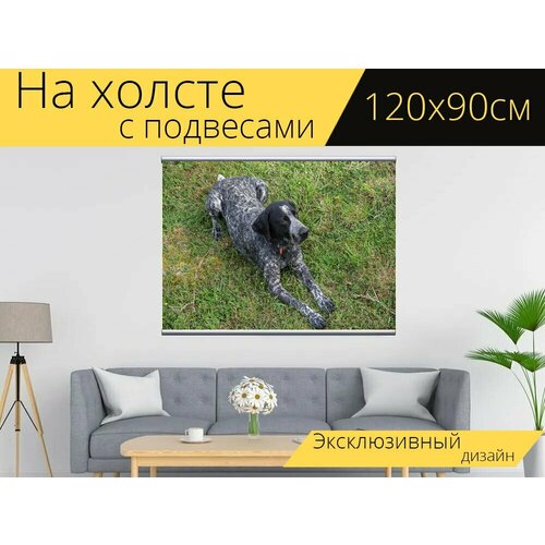 Картина на холсте "Охотничья собака, курцхаар, порода собак" с подвесами 120х90 см. для интерьера