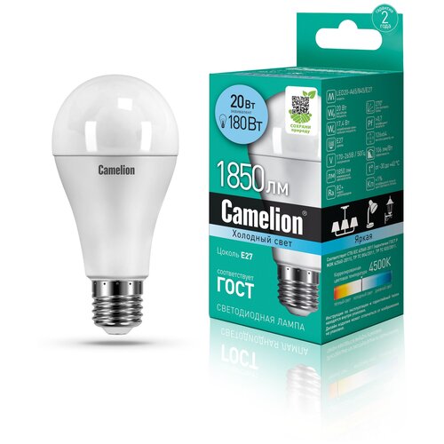 Светодиодная лампочка Camelion LED20-A65/845/E27