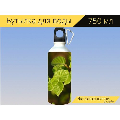 Бутылка фляга для воды "Бук, весна, листья" 750 мл. с карабином и принтом