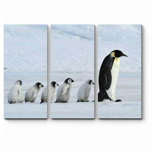 Модульная картина Семейство пингвинов на прогулке 160x115