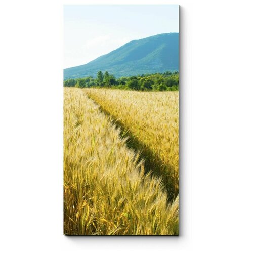 Модульная картина Пшеничное поле в лучах солнца 30x60