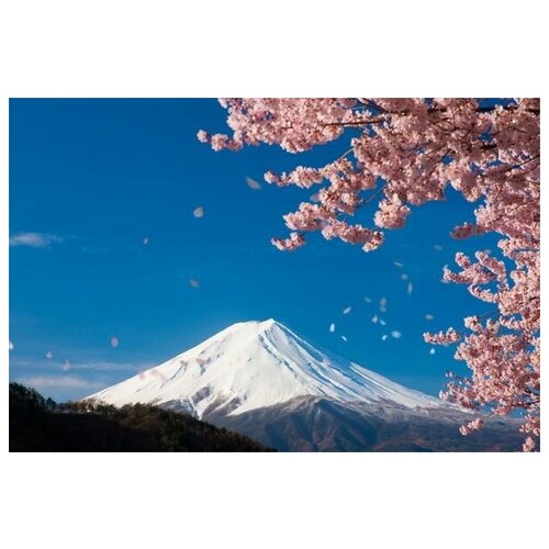 Постер на холсте Цветение сакуры в горах (Cherry blossoms in the mountains) 45см. x 30см.