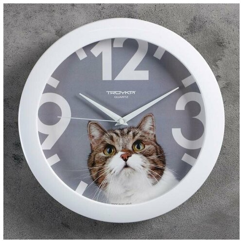 Часы настенные, серия: Животный мир, "Кот", 29 см, белый обод, плавный ход, часы интерьерные