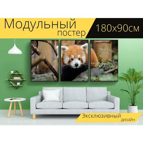Модульный постер "Красная панда, млекопитающее, животное" 180 x 90 см. для интерьера