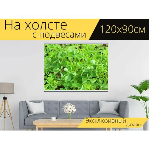 Картина на холсте "Многолетнее растение, щавель дерева, зеленый" с подвесами 120х90 см. для интерьера