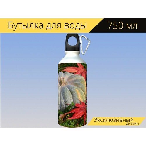Бутылка фляга для воды "Тыква, давить, овощ" 750 мл. с карабином и принтом