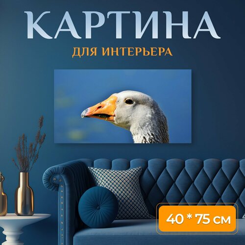 Картина на холсте "Гусь, домашняя птица, птица" на подрамнике 75х40 см. для интерьера