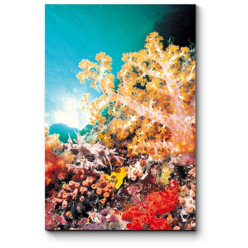 Модульная картина Яркий коралловый мир 40x60