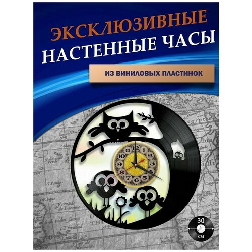 Часы настенные из Виниловых пластинок - Совы (без подложки)