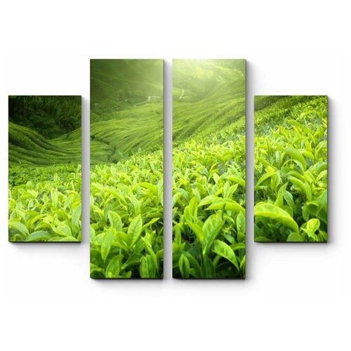 Модульная картина Бескрайняя зелень полей 120x90