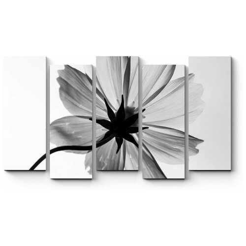 Модульная картина Монохромный цветок 210x121