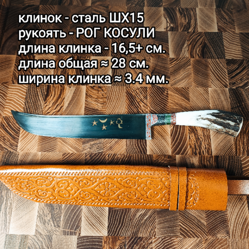 Нож узбекский - Пчак, клинок 16,5-17 см. сталь ШХ-15, рукоять - рог косули.