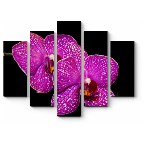 Модульная картина Тропическая орхидея 115x92