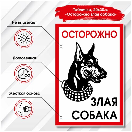 Информационная табличка "Осторожно злая собака" 200х300 мм. Объект находится под охраной собаки. ПВХ. УФ печать.