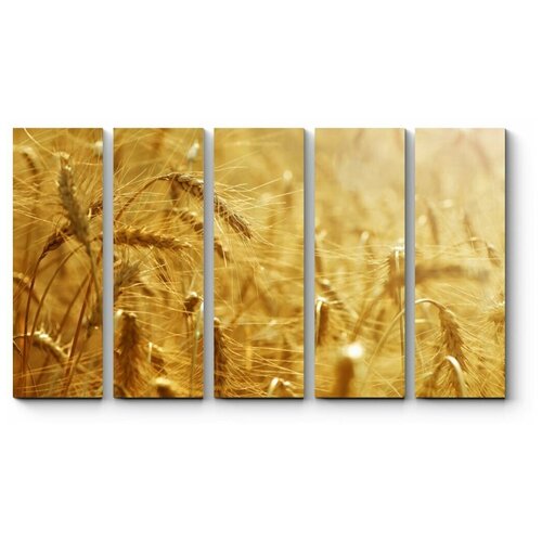 Модульная картина Золотая рожь 120x72