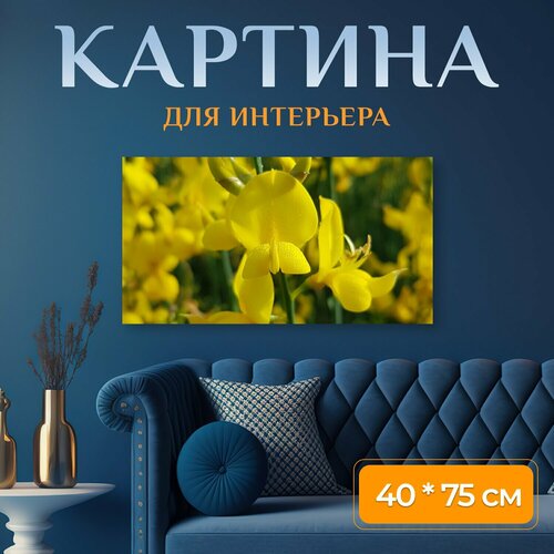 Картина на холсте "Метла, цветок, цветы" на подрамнике 75х40 см. для интерьера