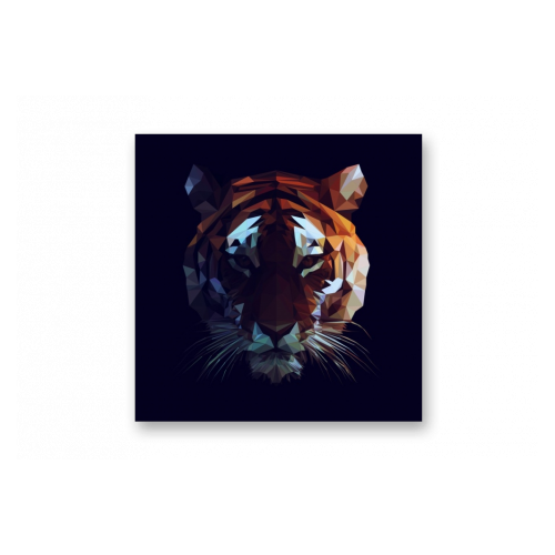 Картина на холсте | Diva Kartina | Арт Постеры. Сильный тигр | 60X60 см | Интерьерный постер
