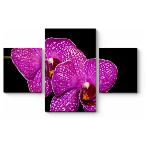 Модульная картина Тропическая орхидея 80x52