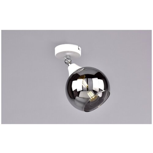 Светильник настенно-потолочный с поворотным плафоном DL15417/1, серия "Fashion", 1 лампа, Е27, 60Вт