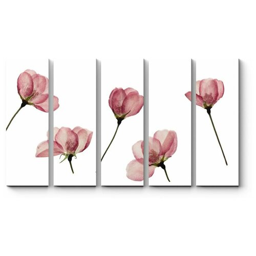 Модульная картина Сухие цветы 130x78
