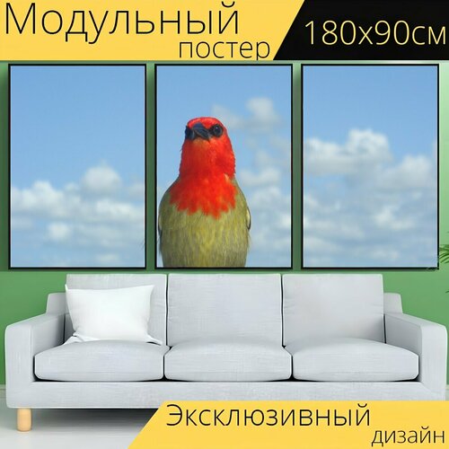 Модульный постер "Птица, маврикий, природа" 180 x 90 см. для интерьера