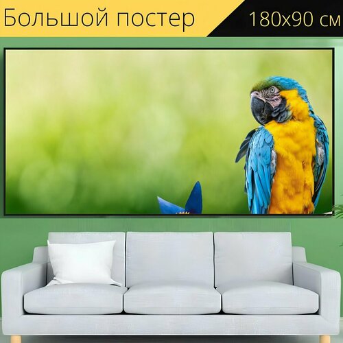 Большой постер "Попугай, птица, клюв" 180 x 90 см. для интерьера