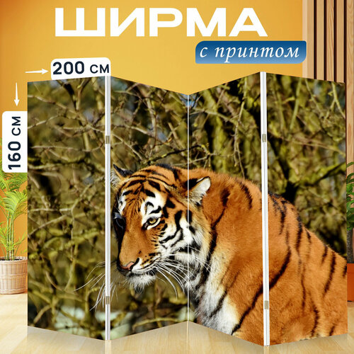 Ширма перегородка с принтом "Тигр, голова тигра, большой кот" на холсте - 200x160 см. для зонирования, раскладная