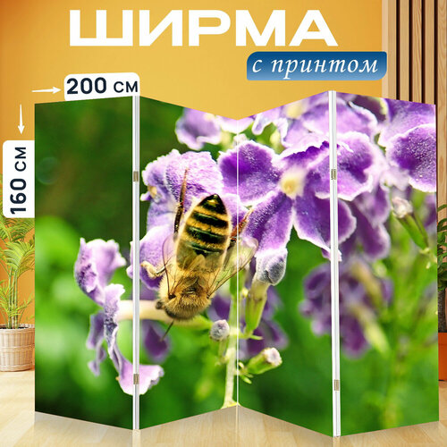 Ширма перегородка с принтом "Пчела, насекомое, цветочная пыльца" на холсте - 200x160 см. для зонирования, раскладная