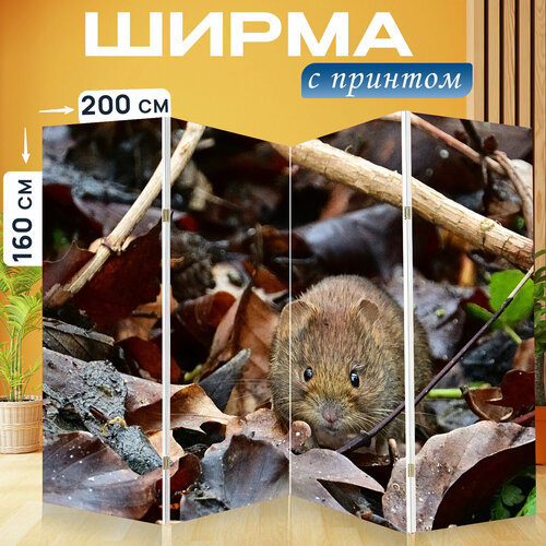 Ширма перегородка с принтом "Мышь, грызун, листья" на холсте - 200x160 см. для зонирования, раскладная