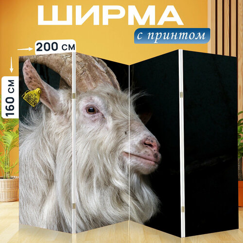 Ширма перегородка с принтом "Млекопитающее, животное, портрет" на холсте - 200x160 см. для зонирования, раскладная